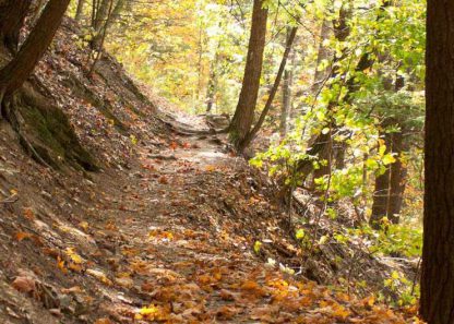 Hiking In The Land Between The Lakes - Land Between the Lakes Guide
