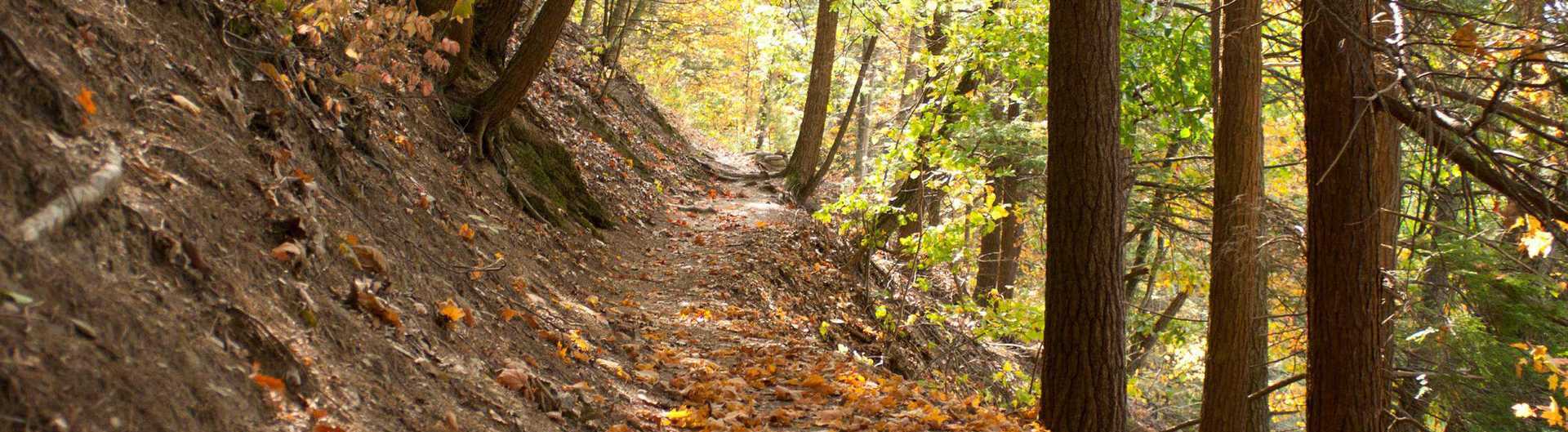 Canal Loop Trail - Land Between the Lakes Guide