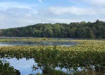Canal Loop Trail - Land Between the Lakes Guide