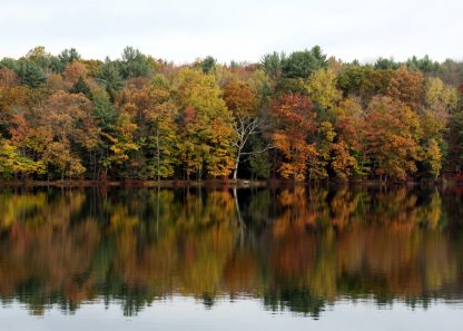 Canal Loop Trail - Land Between the Lakes Guide